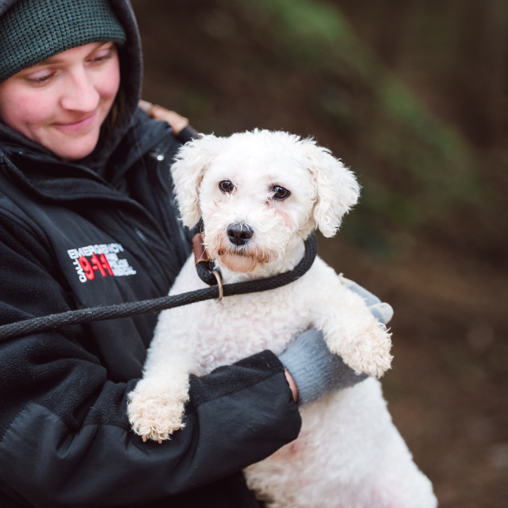 Ester - Phoenix Animal Rescue