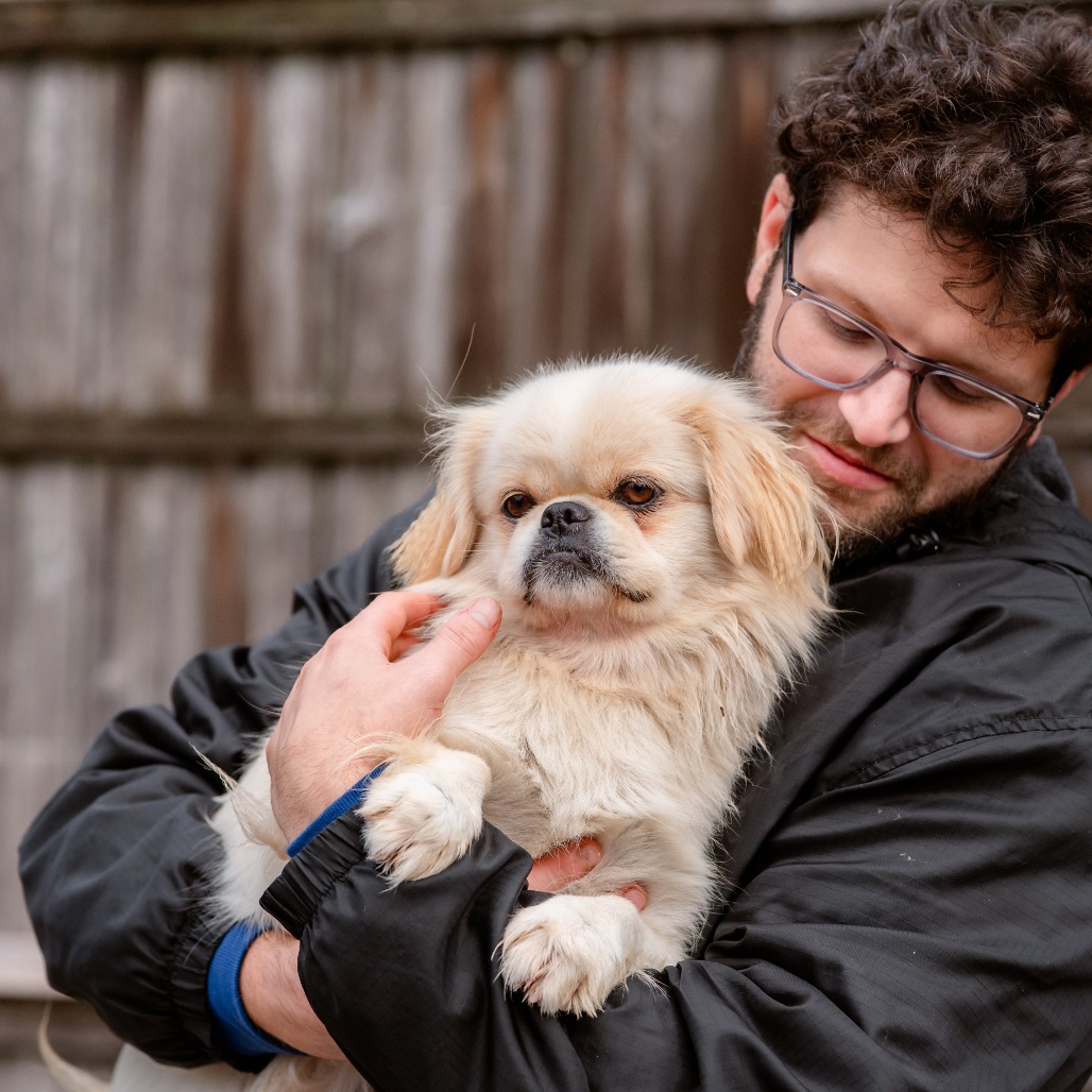 Vivi - Phoenix Animal Rescue