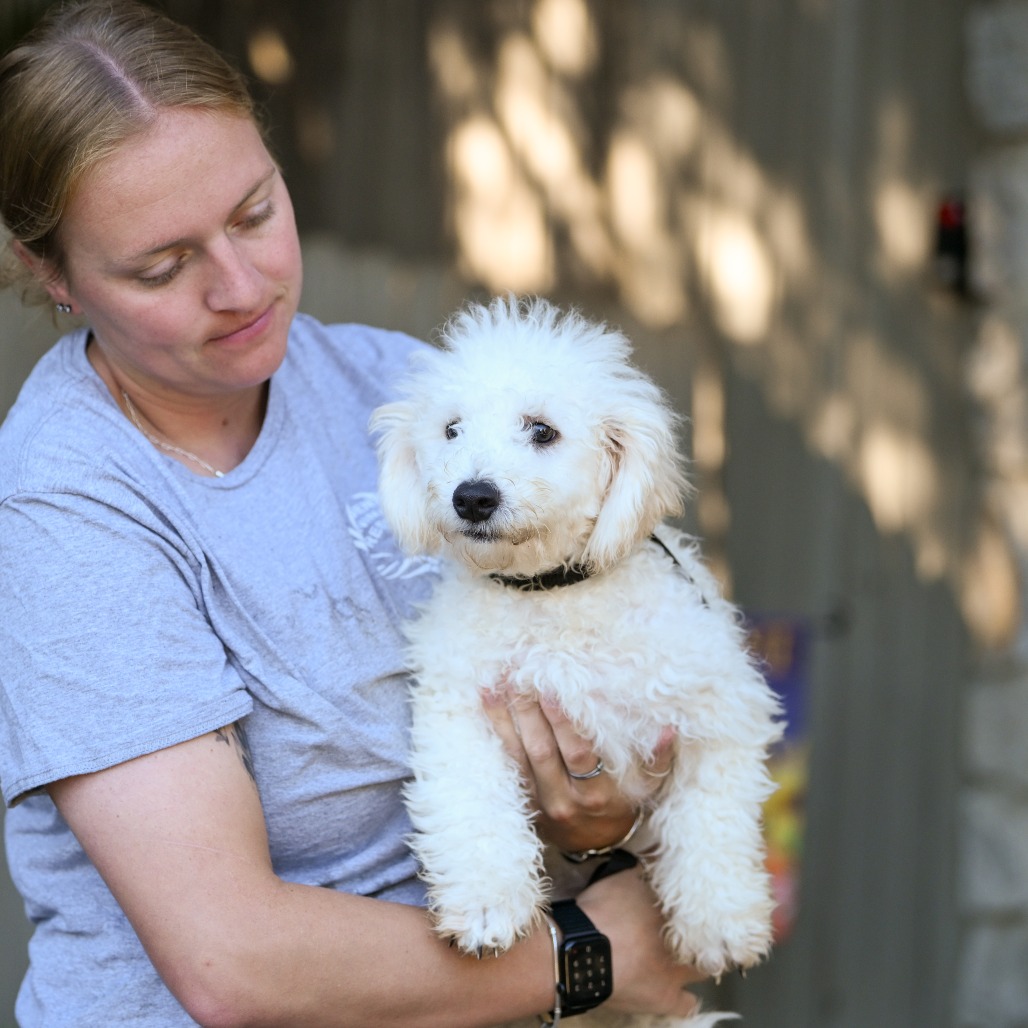 Tyler - Phoenix Animal Rescue