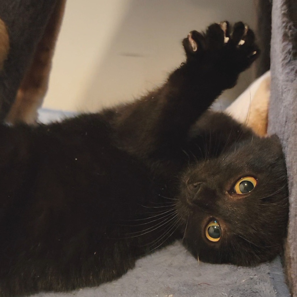 Sweet Cheeks (was Baby Girl)