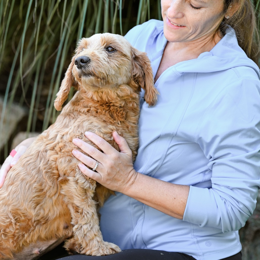 Penelope - Phoenix Animal Rescue