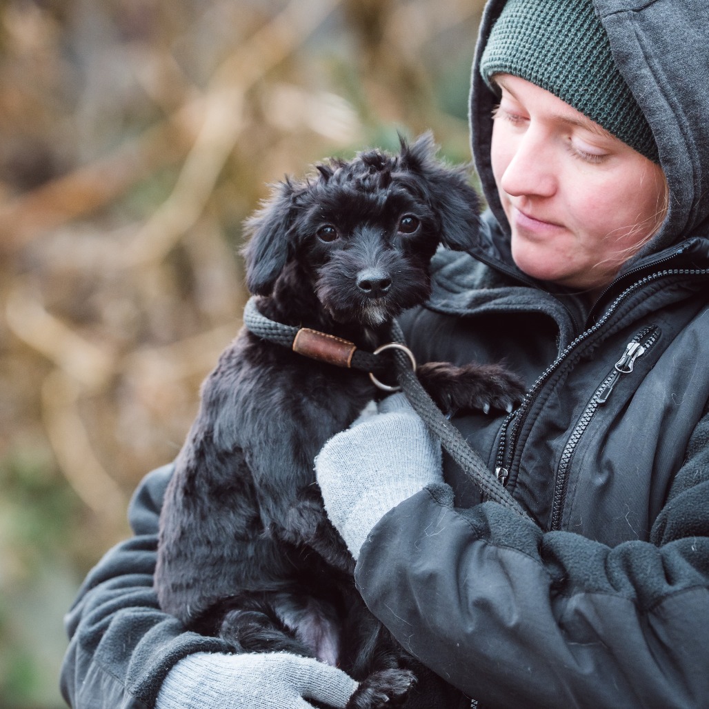 Marnie - Phoenix Animal Rescue