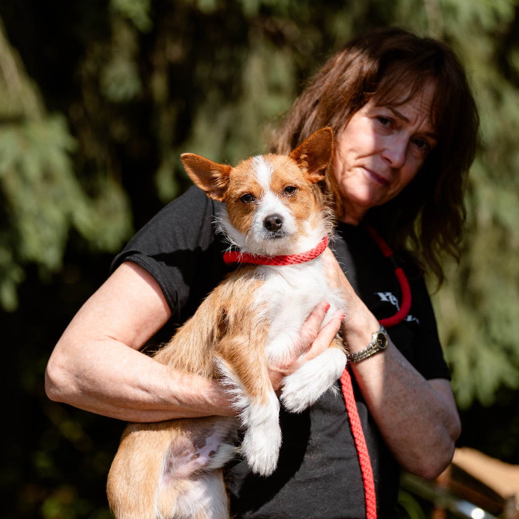 Cash - Phoenix Animal Rescue