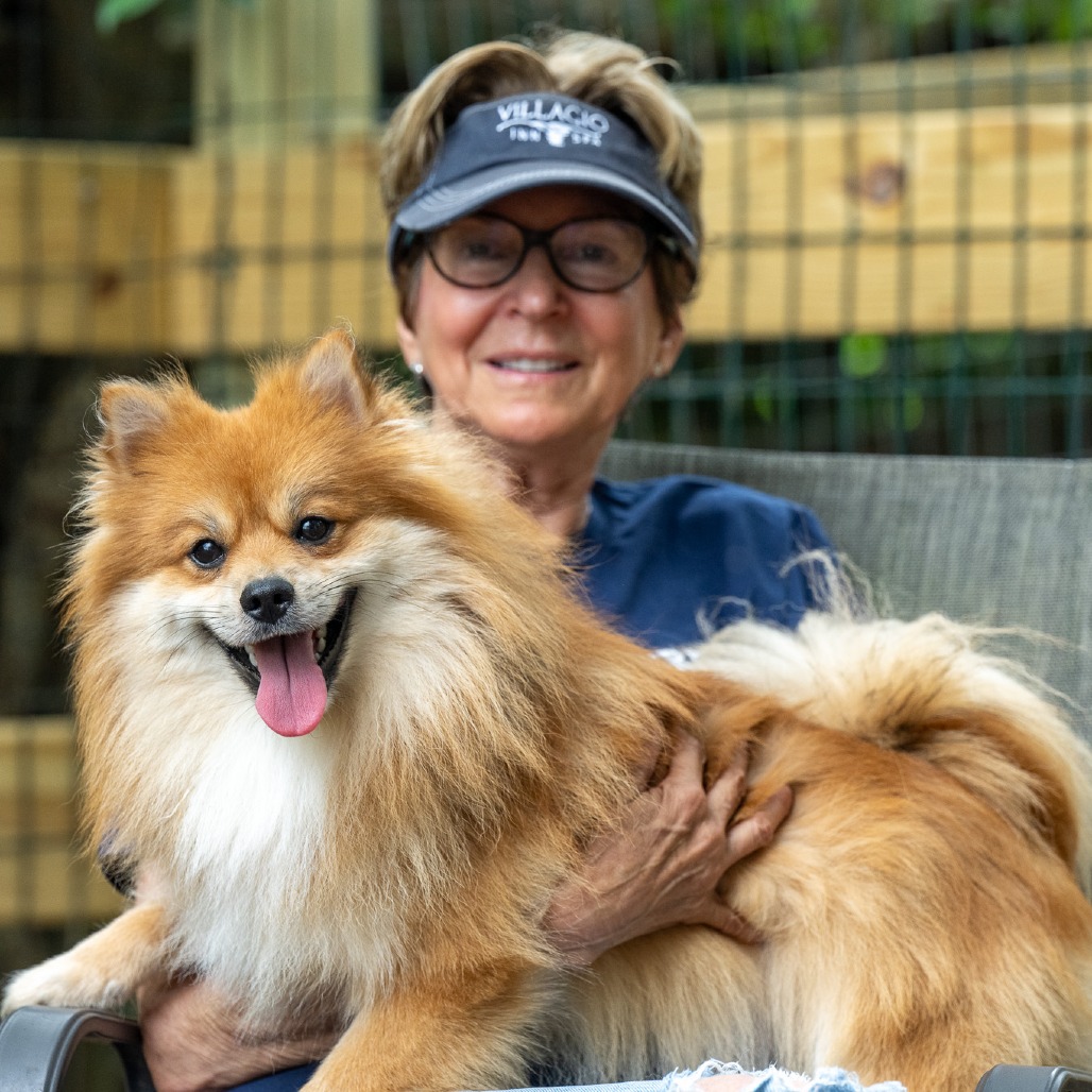 Hunter - Phoenix Animal Rescue