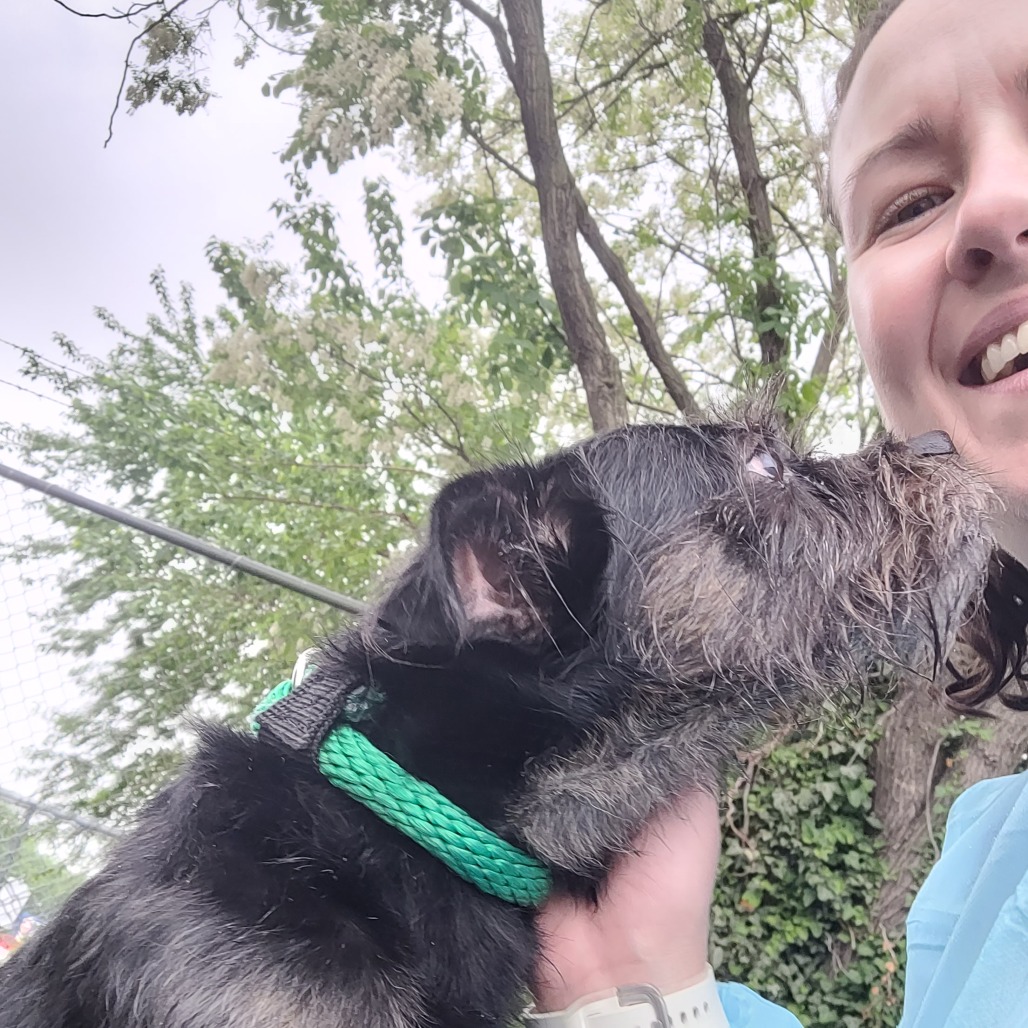 Cole (fka Skunk) - Phoenix Animal Rescue