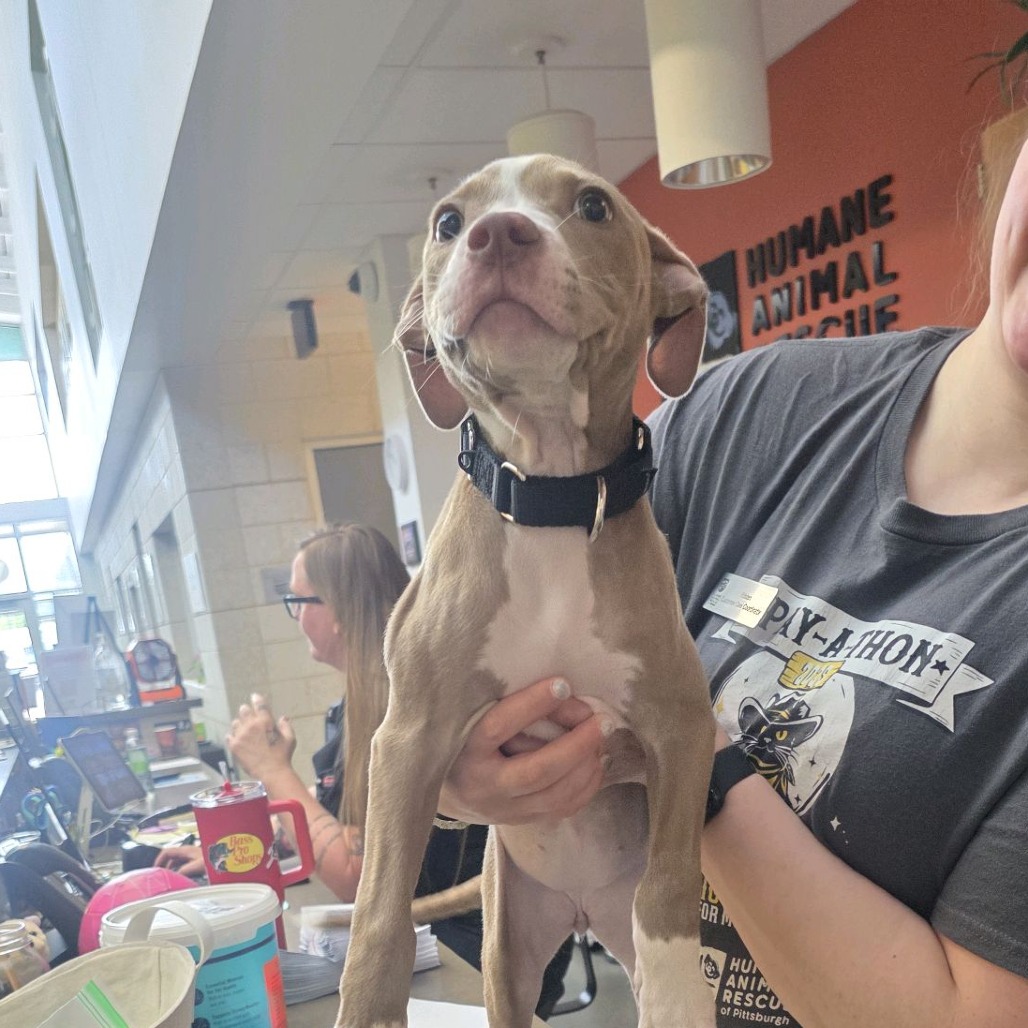 Magnolia - Humane Animal Rescue