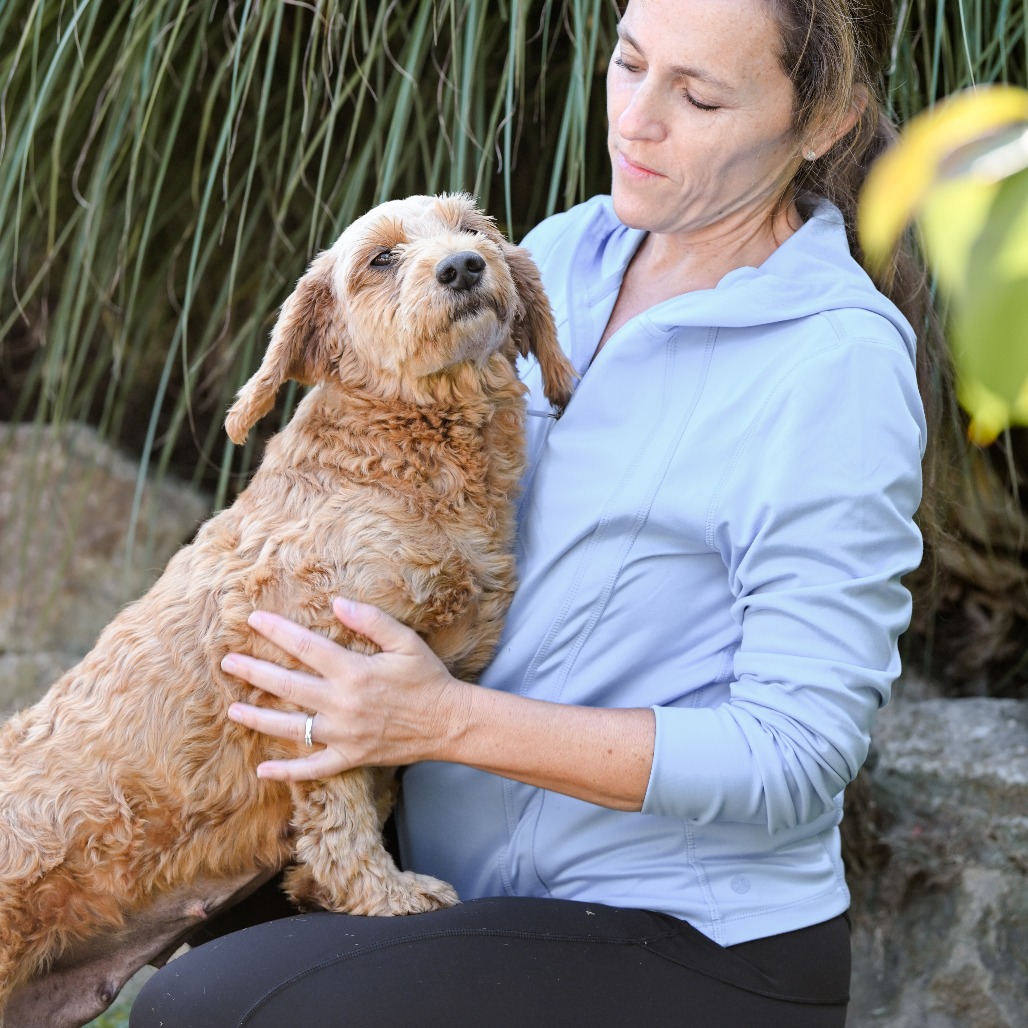 Penelope - Phoenix Animal Rescue