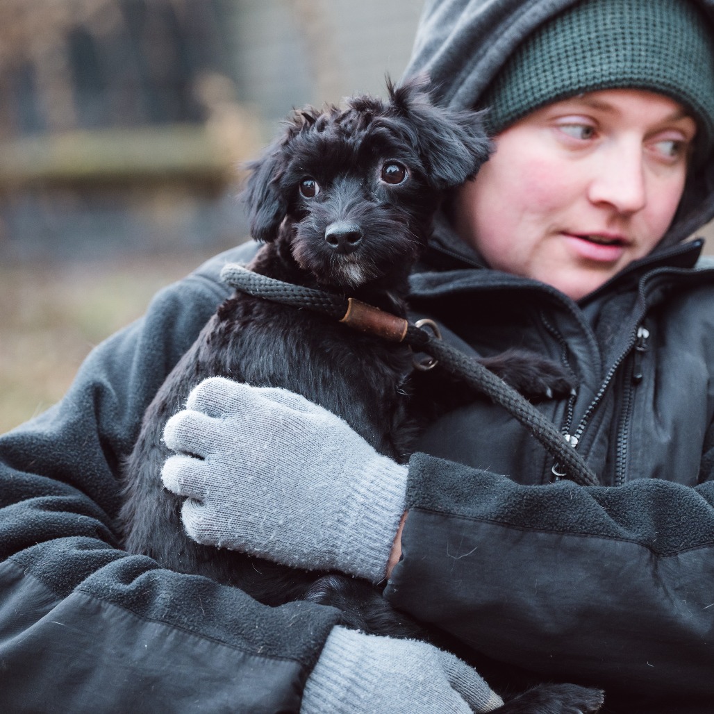 Marnie - Phoenix Animal Rescue