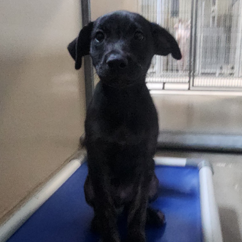 News - Lake County News,California