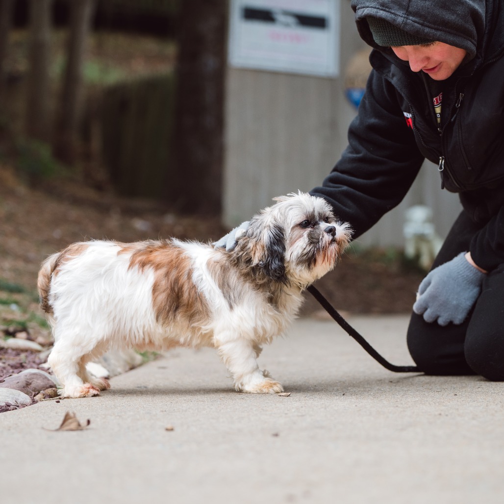 Agnes - Phoenix Animal Rescue