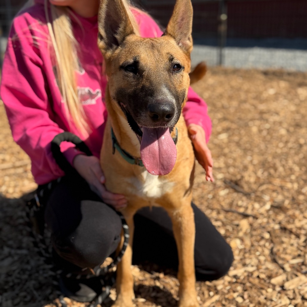 Tippy *Two very generous people chipped in and sponsored my entire ...