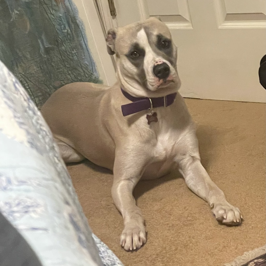 Naomi Marie - RHSPCA