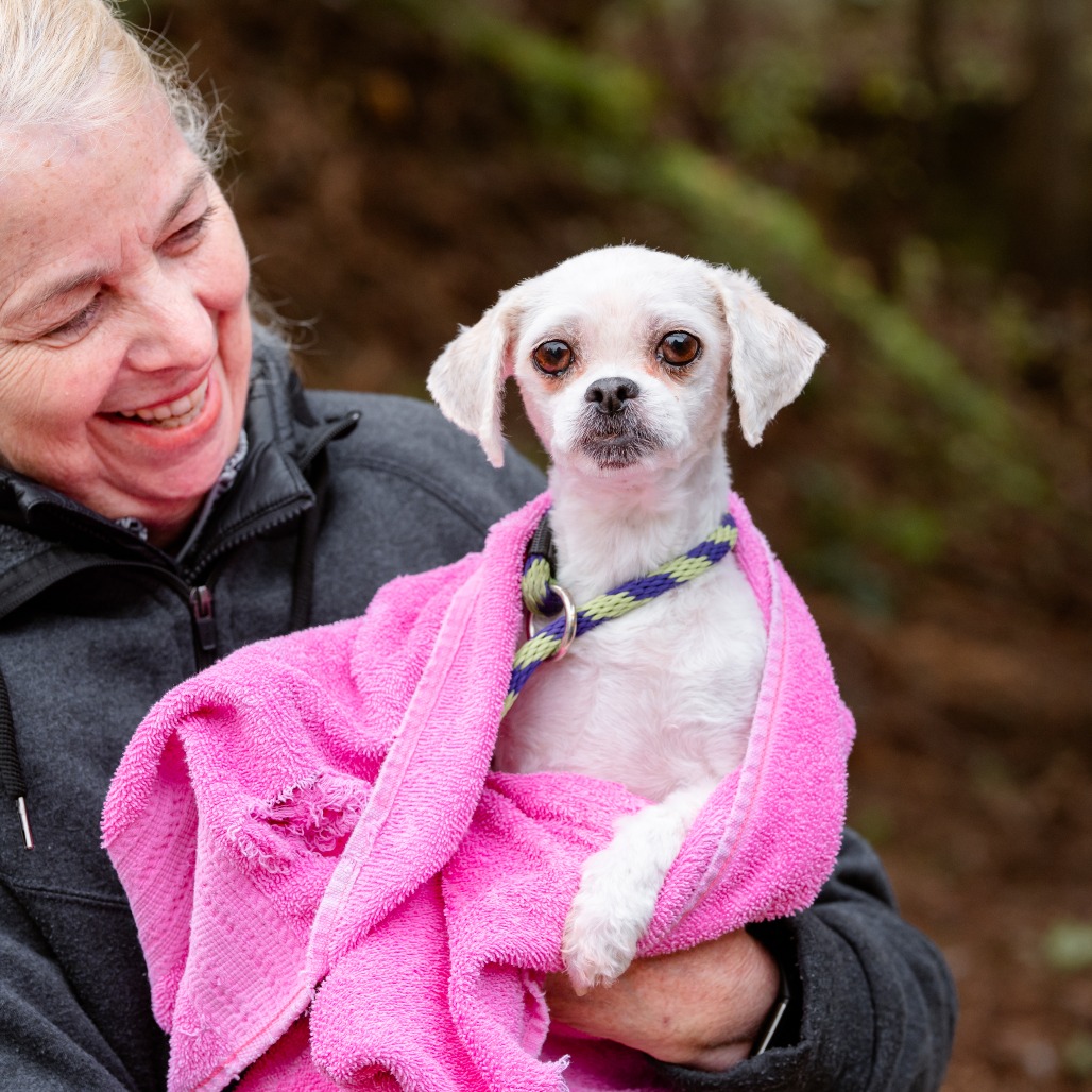 Darla - Phoenix Animal Rescue
