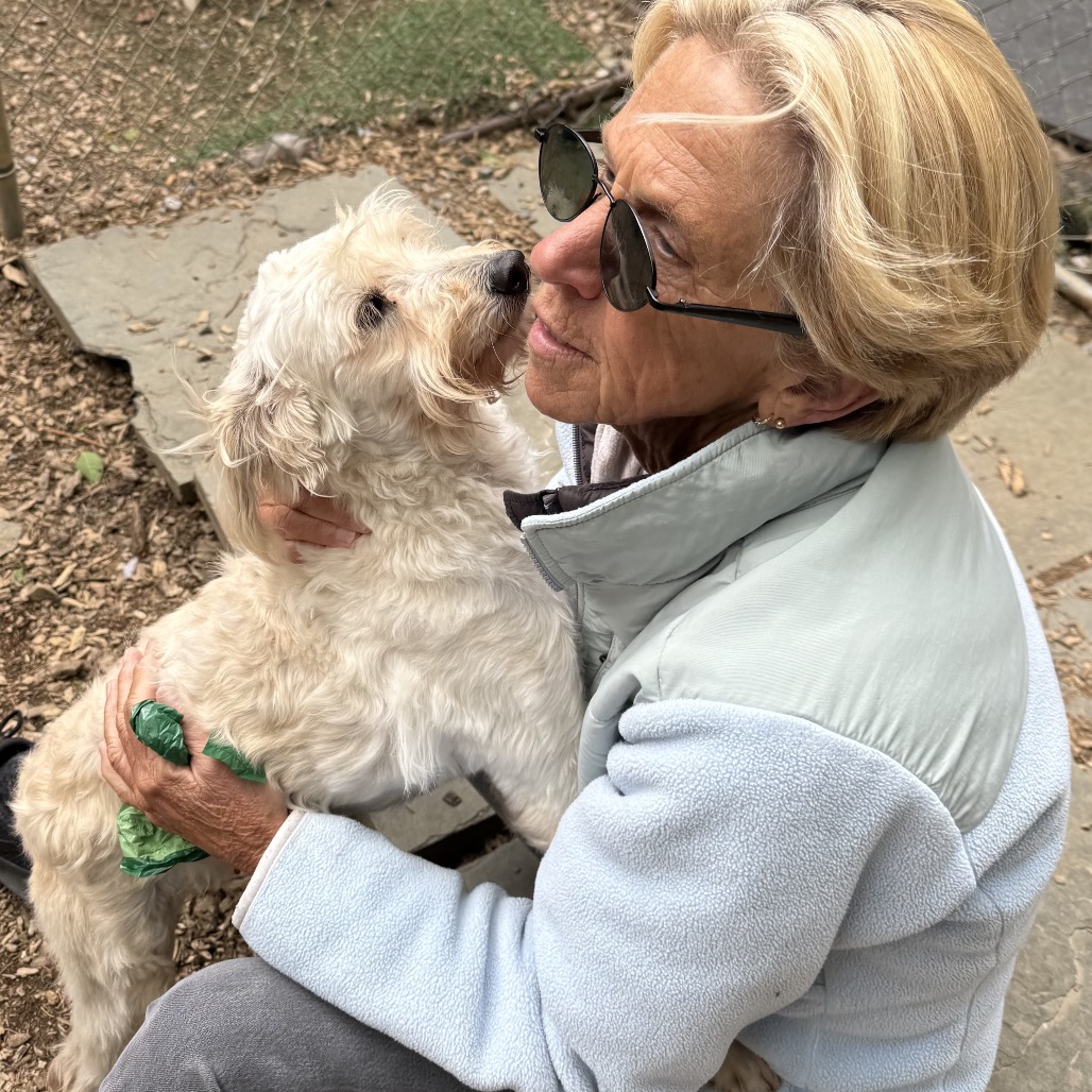 Lyra - Phoenix Animal Rescue