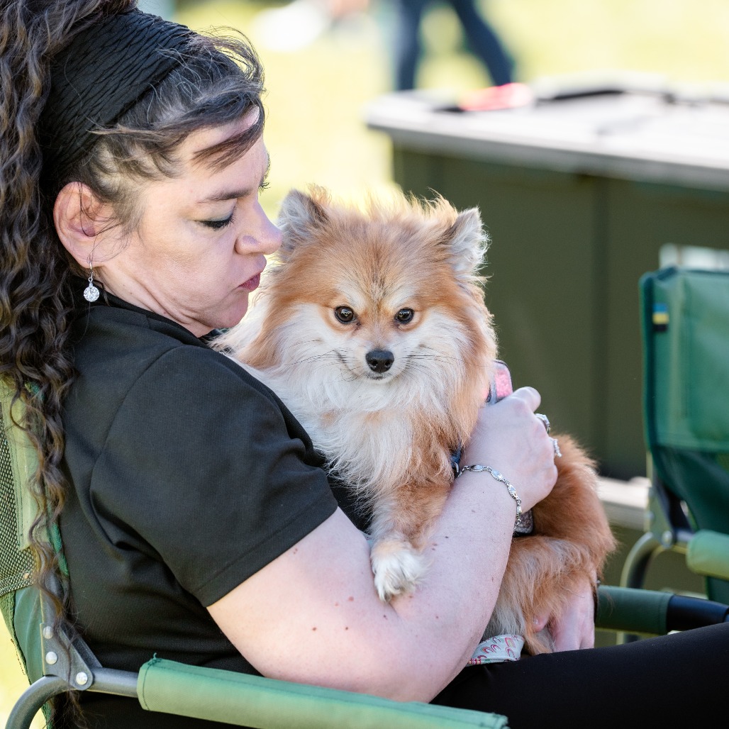 Chester - Phoenix Animal Rescue