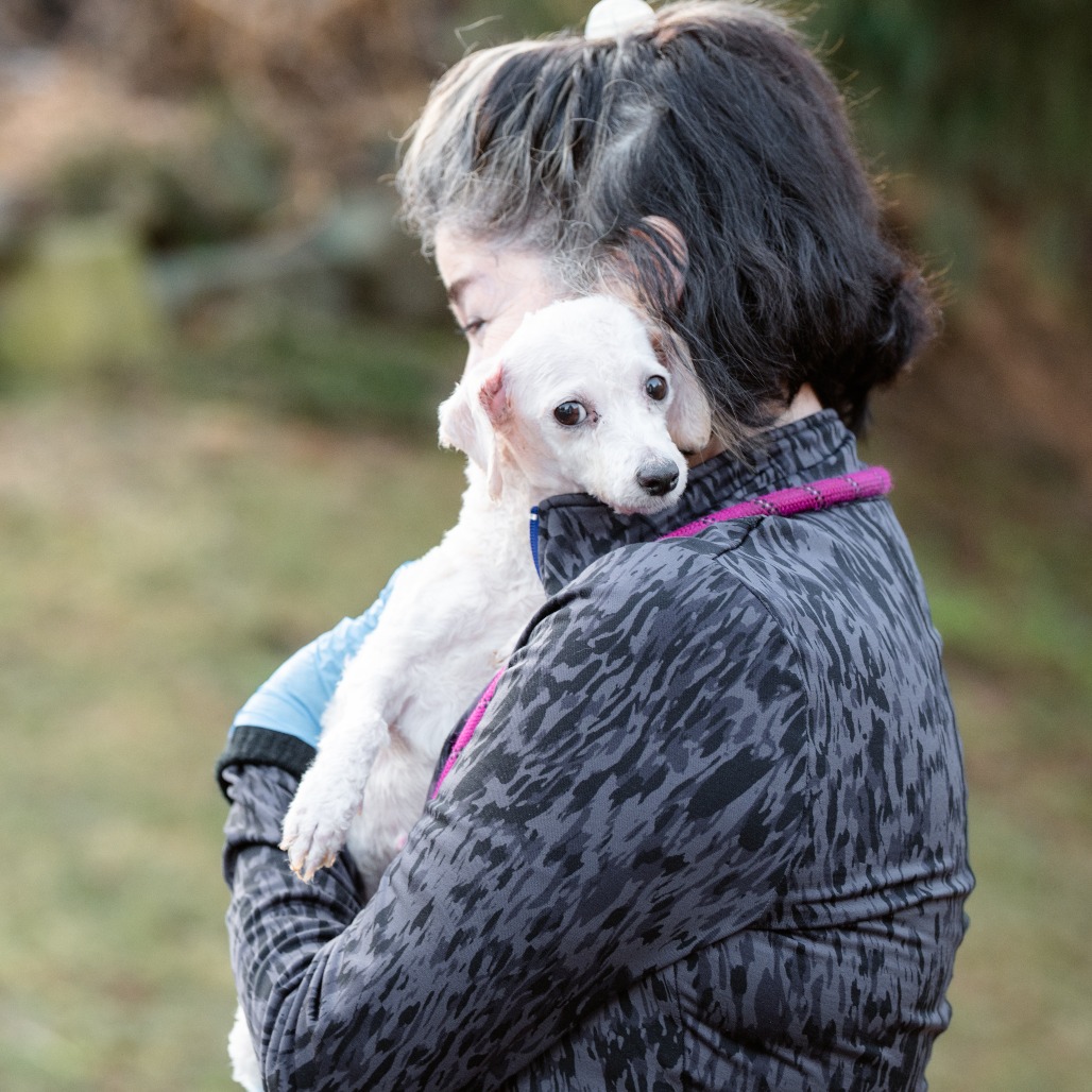 Viola - Phoenix Animal Rescue