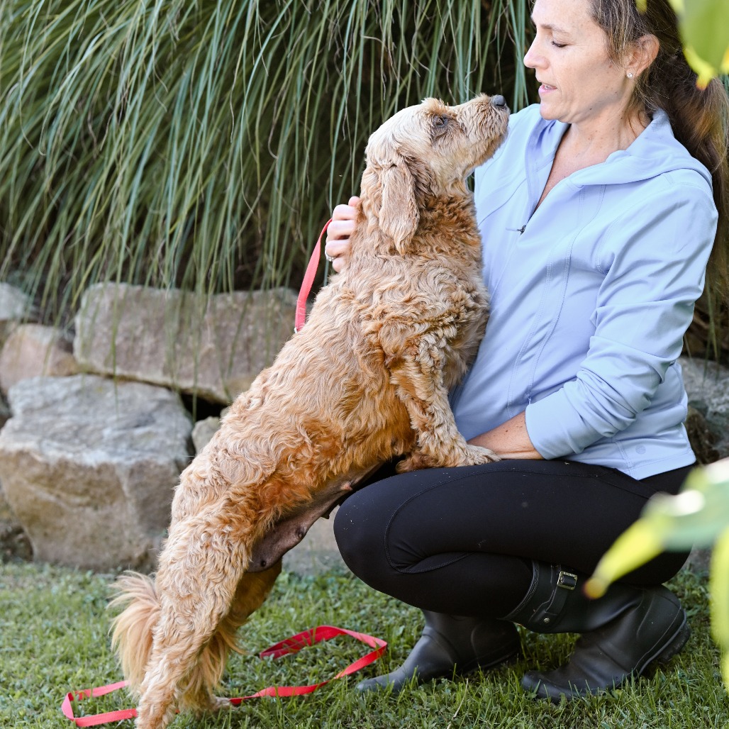 Penelope - Phoenix Animal Rescue