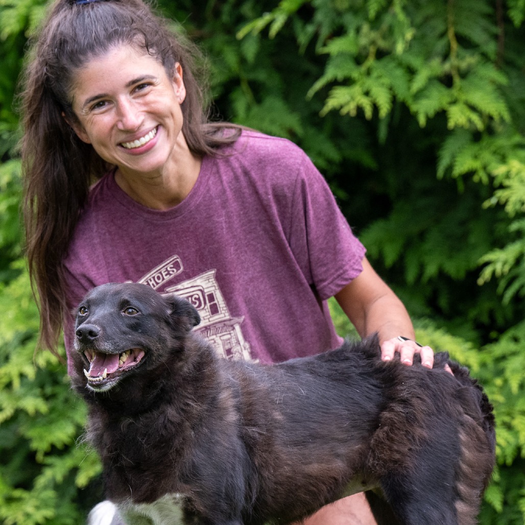 Tilly - Phoenix Animal Rescue