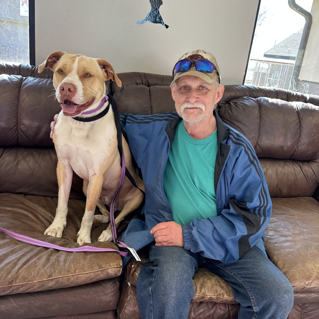 Ody is available for adoption at Northern Oklahoma Humane Society