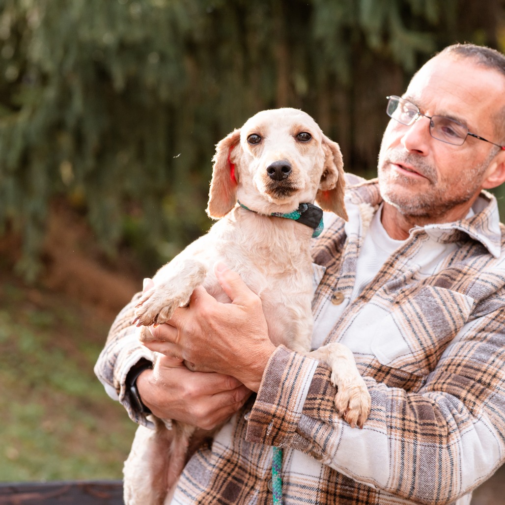Lila - Phoenix Animal Rescue