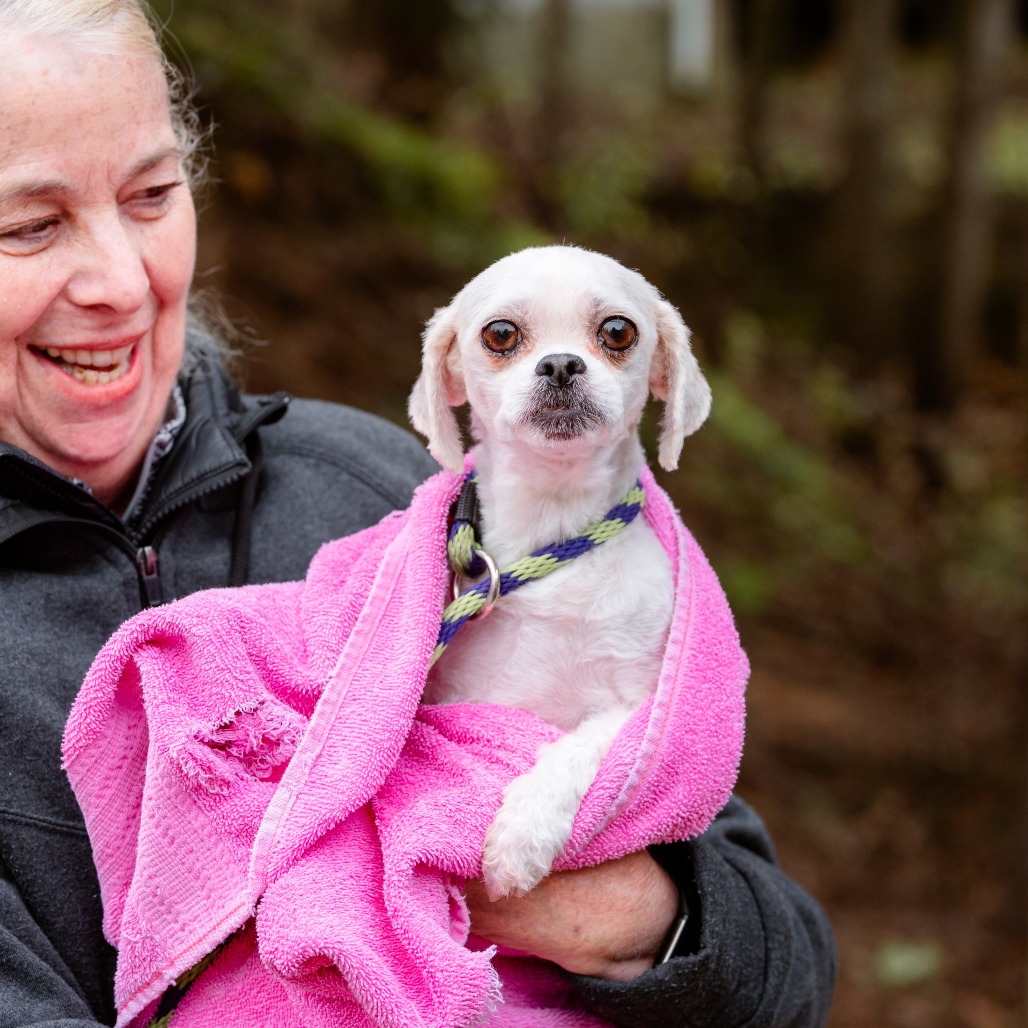 Darla - Phoenix Animal Rescue