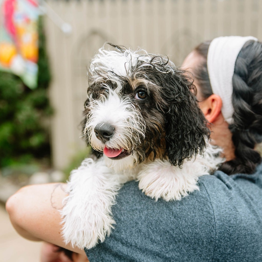 Garth - Phoenix Animal Rescue