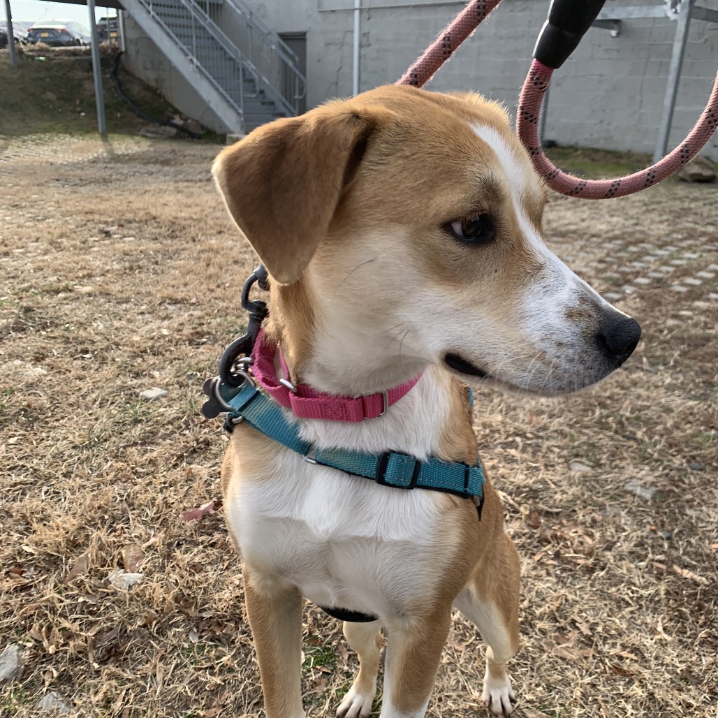 Ginger Rogers – LDCRF