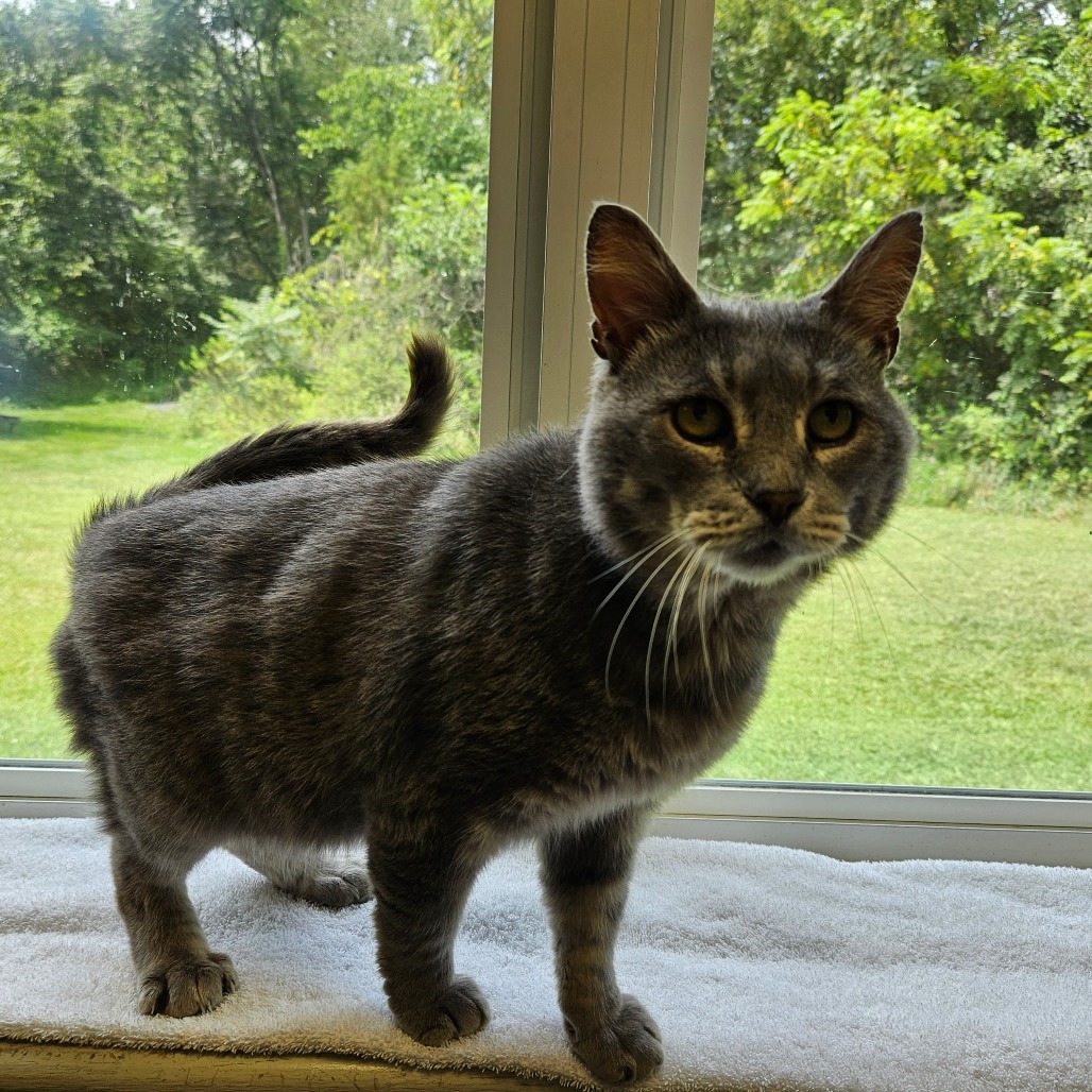 Leroy Jenkins - RHSPCA