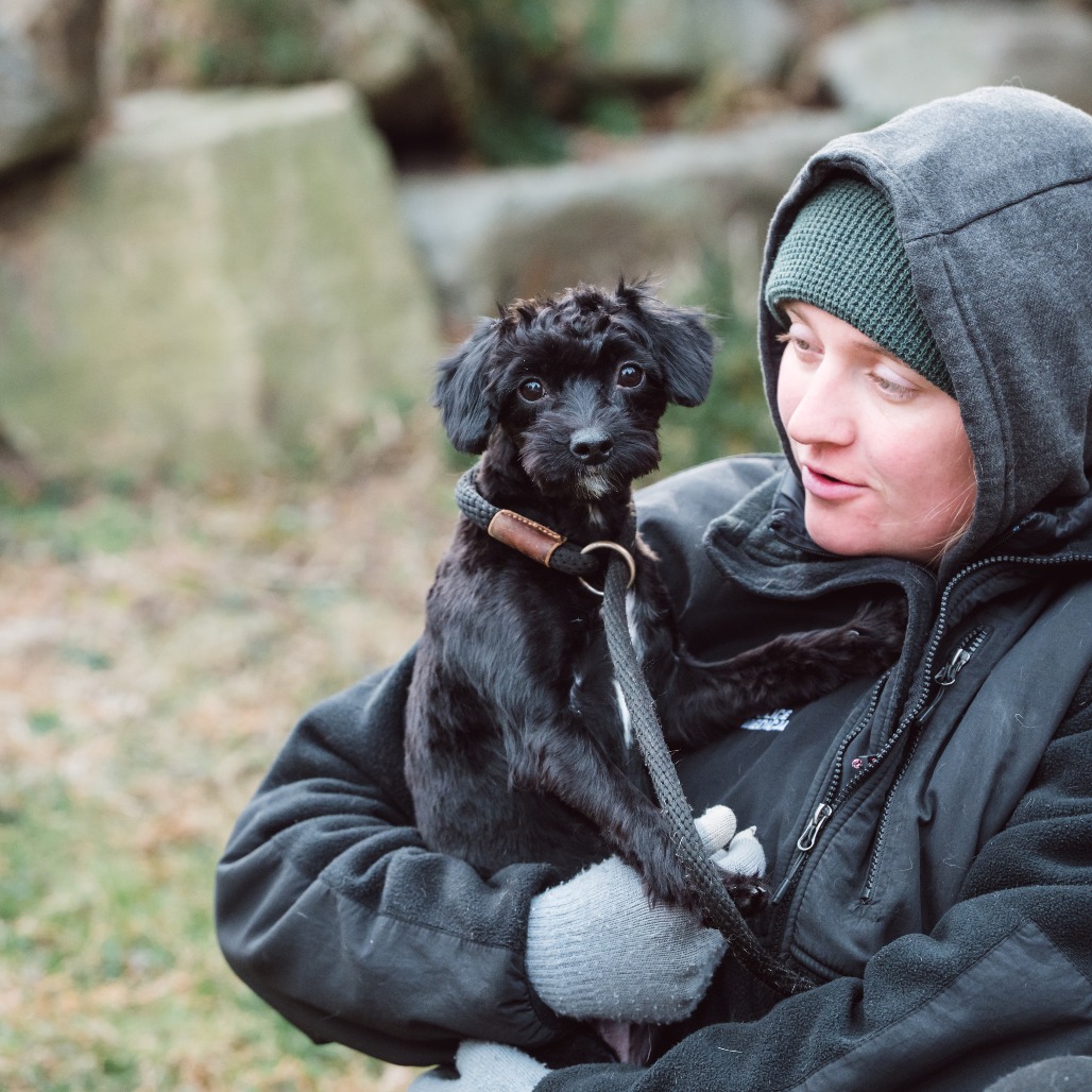 Marnie - Phoenix Animal Rescue