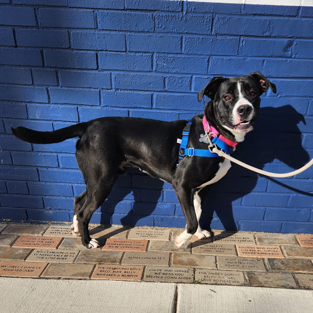 Bufford – LDCRF