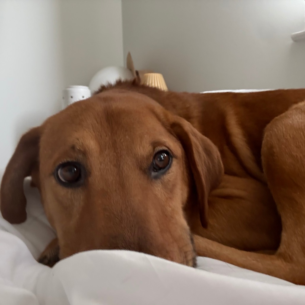 Buddy James – LDCRF